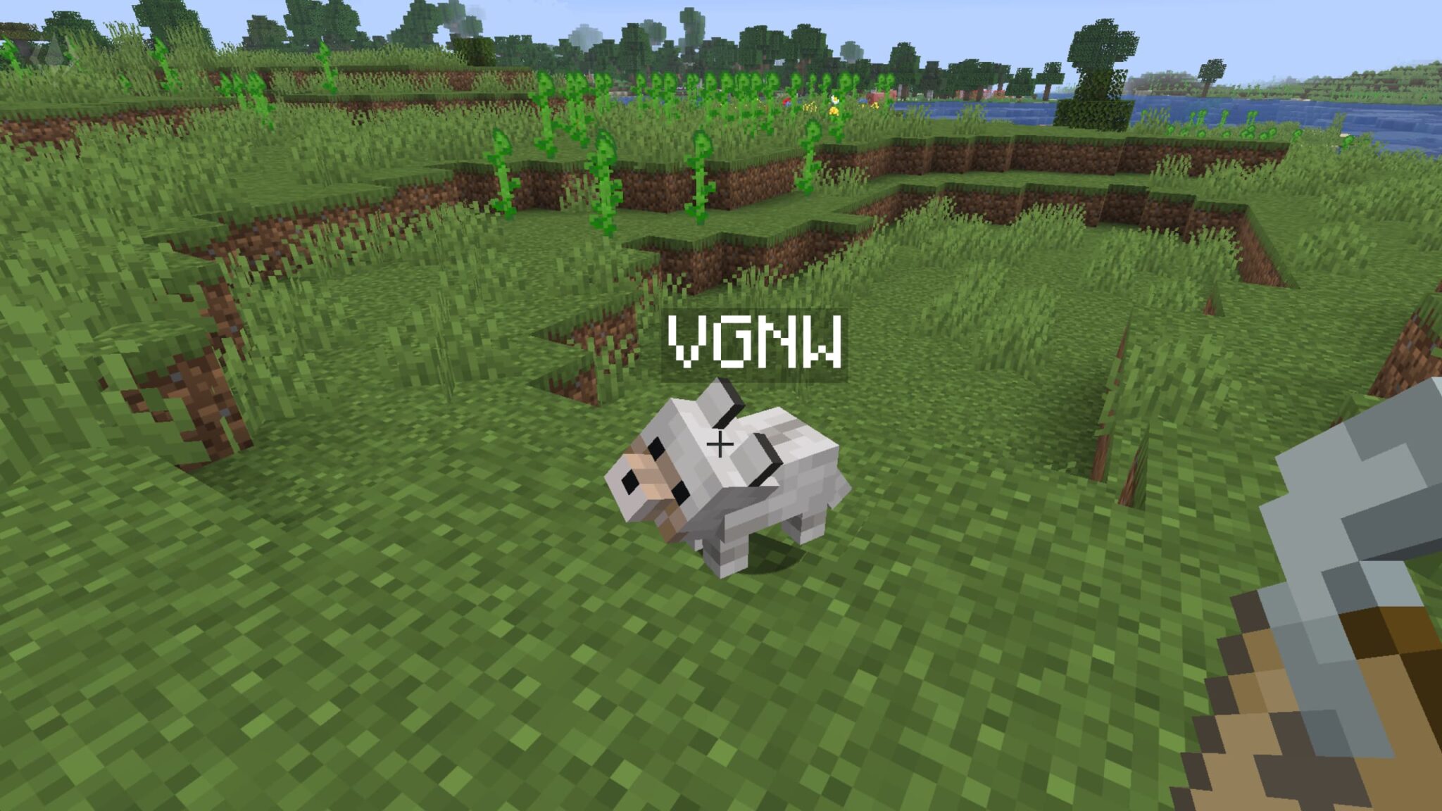 How to craft a Name Tag in Minecraft?